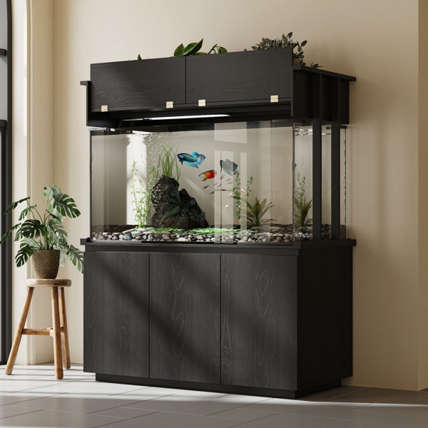 Archie & Oscar™ Aquarium Stand With Doors And Shelves - Wayfair Canada