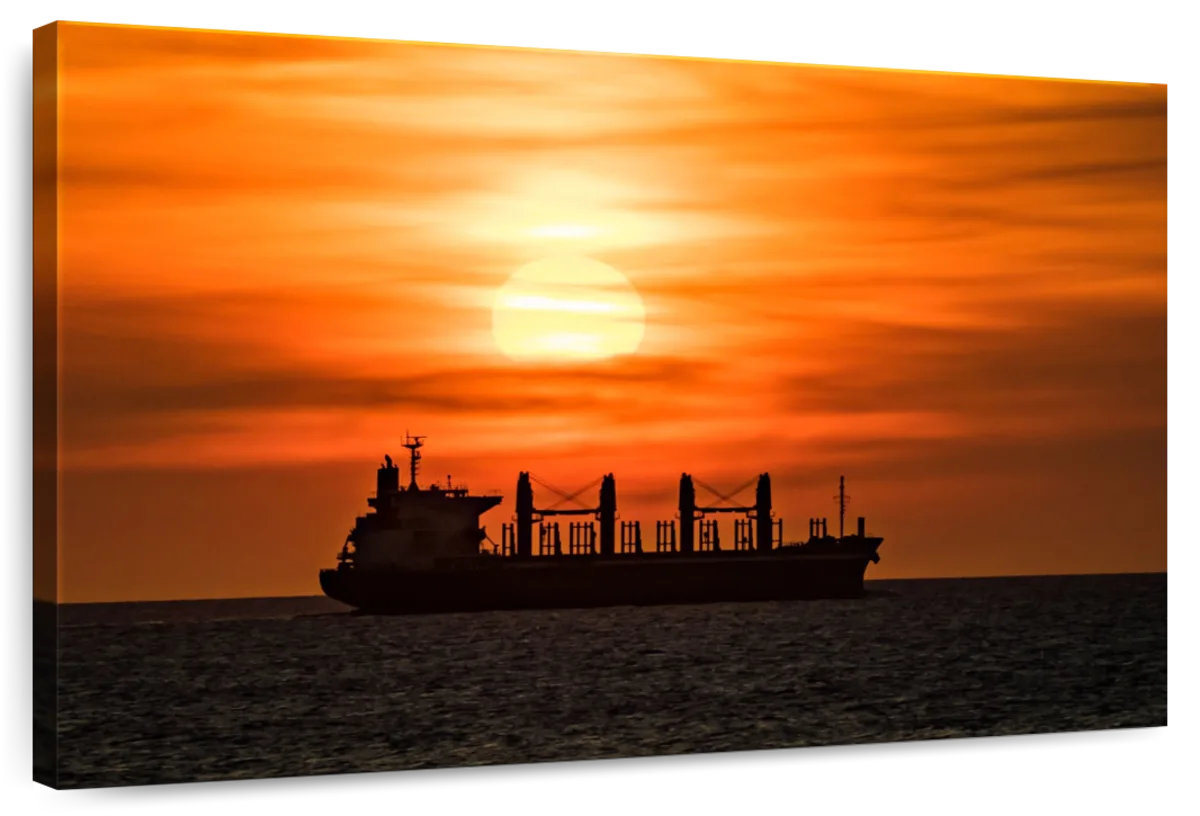 Elephant Stock Ship In Ocean - Wayfair Canada