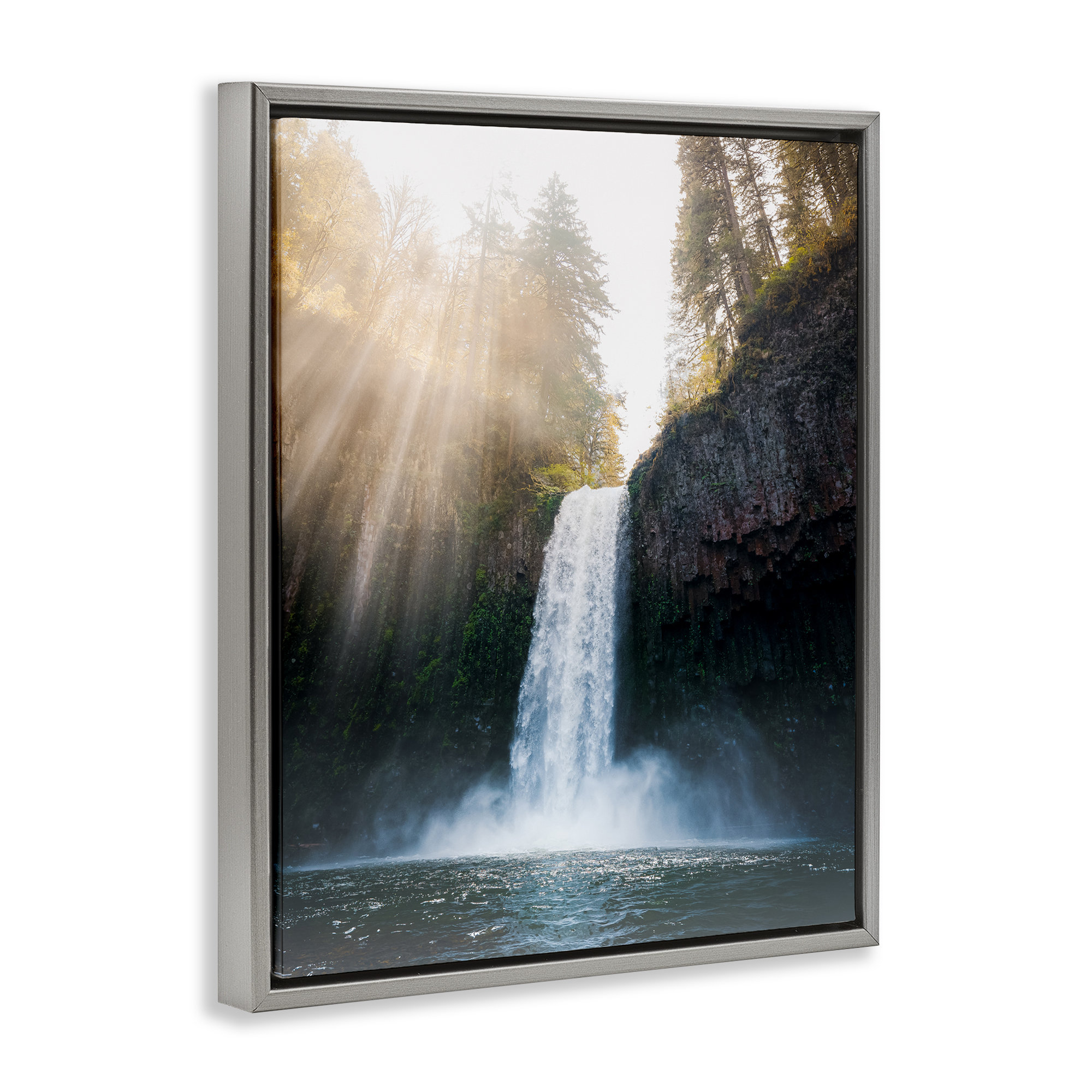 Latitude Run® Cascading Waterfall Magic Floating Frame, design by Jared ...