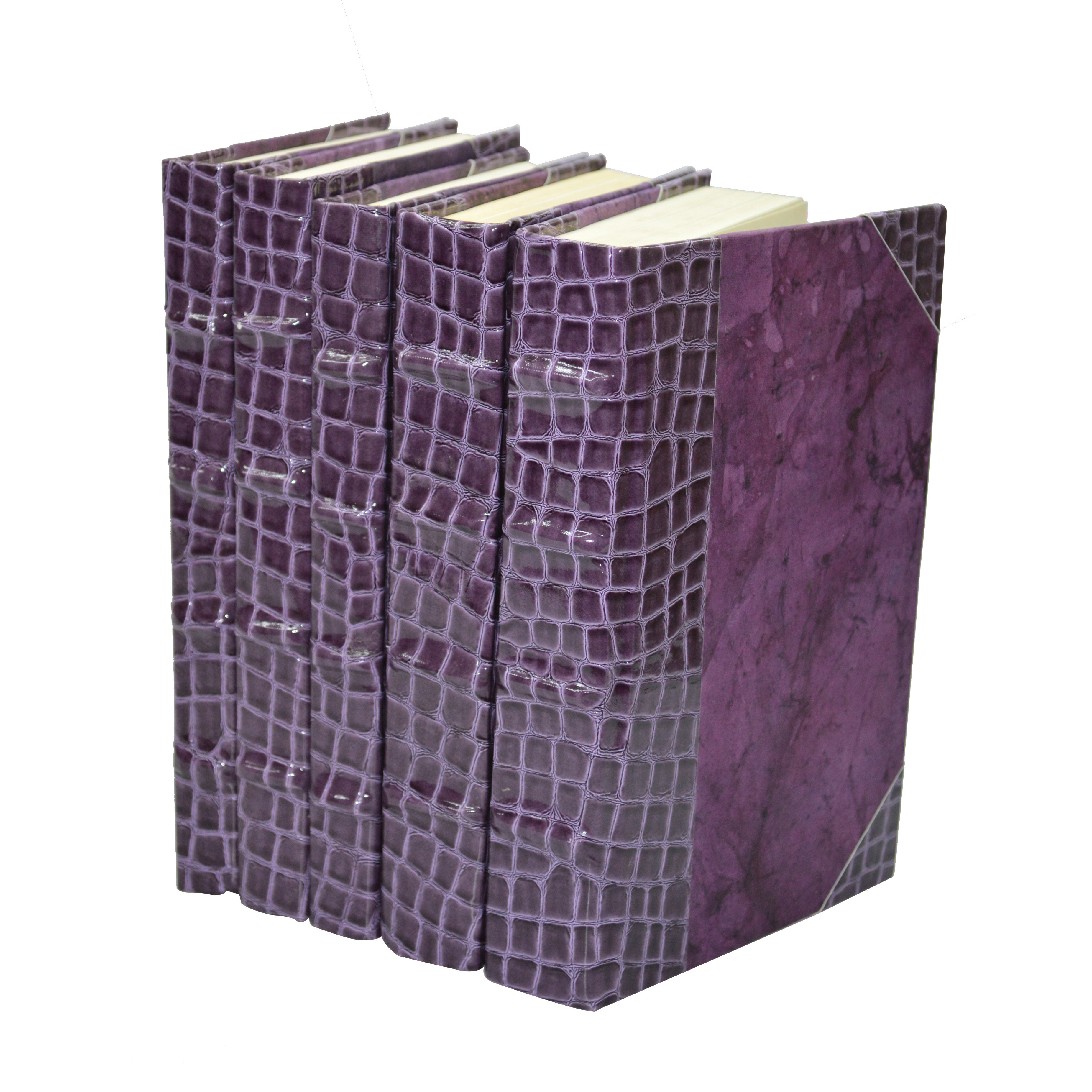 Leather Books 5 Piece Exotic Croc II Decorative Book Set | Wayfair