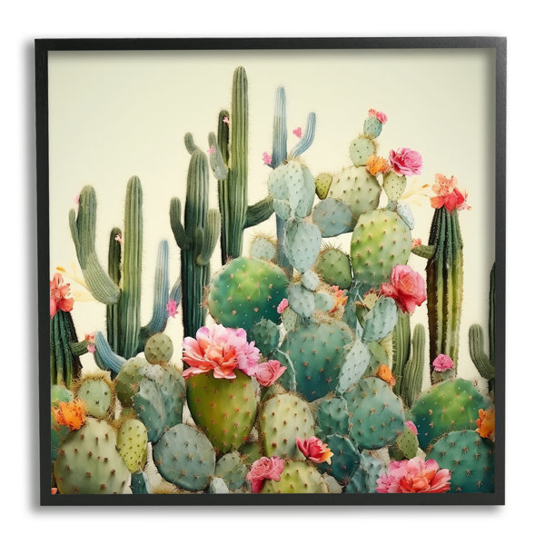 Stupell Industries Prickly Cactus Blooms Framed Giclee Art by Lazar ...