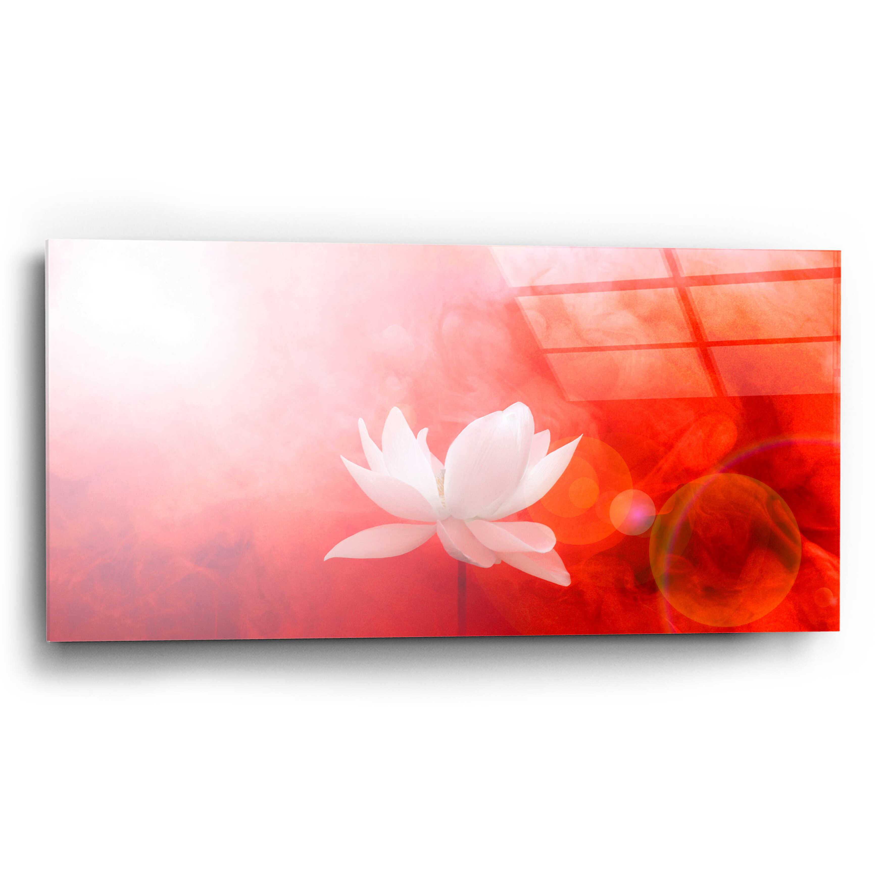 Red Barrel Studio® Lotus In Flames On Plastic/Acrylic by Bahman Farzad ...