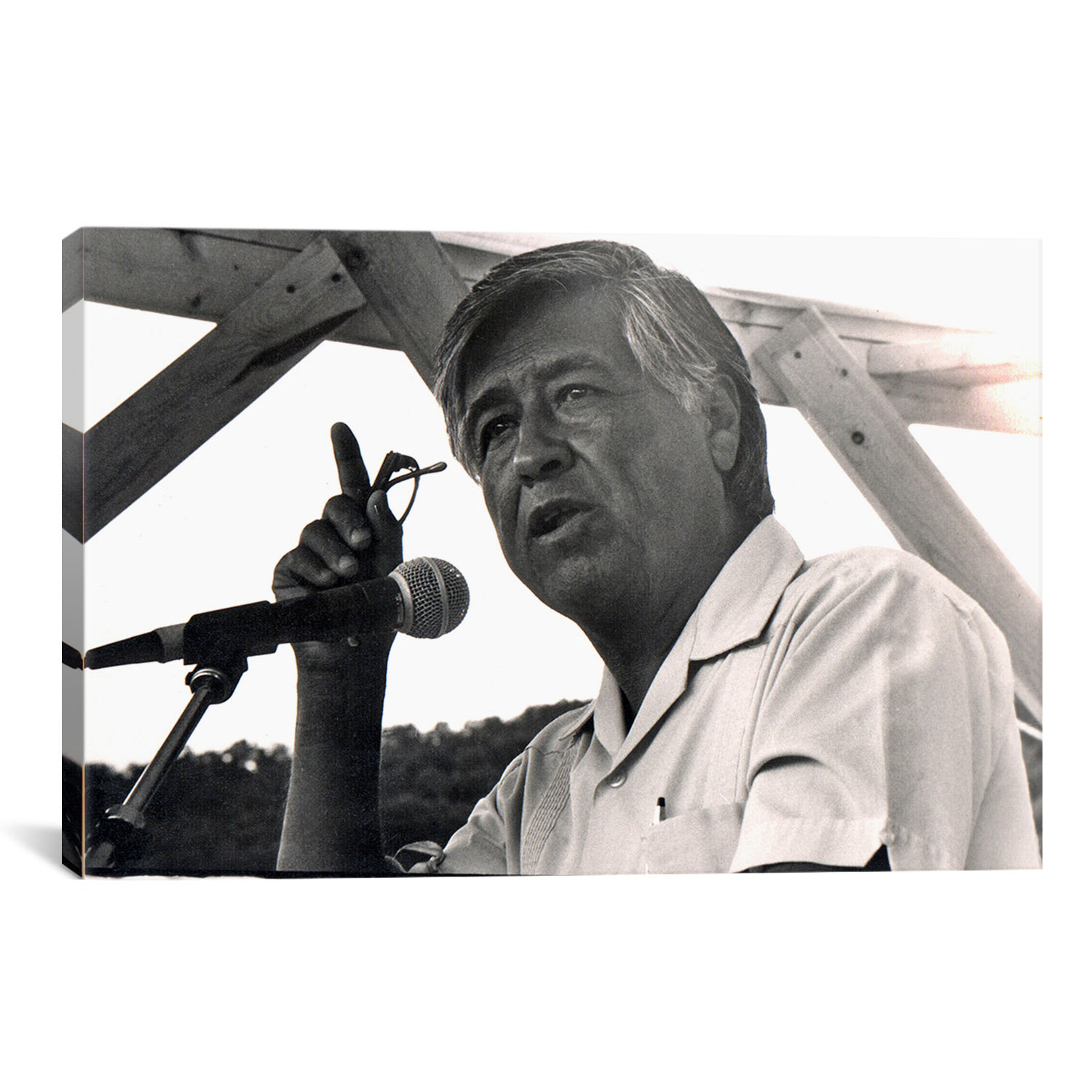 Winston Porter Political Cesar Chavez Portrait Photographic Print on ...