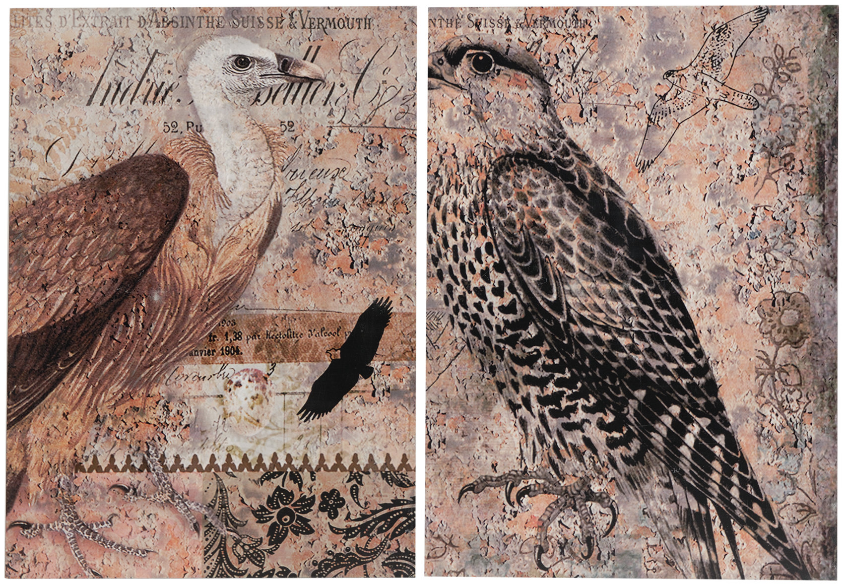 Alcott Hill® 'Wild Bird' Graphic Art Plaque Set | Wayfair