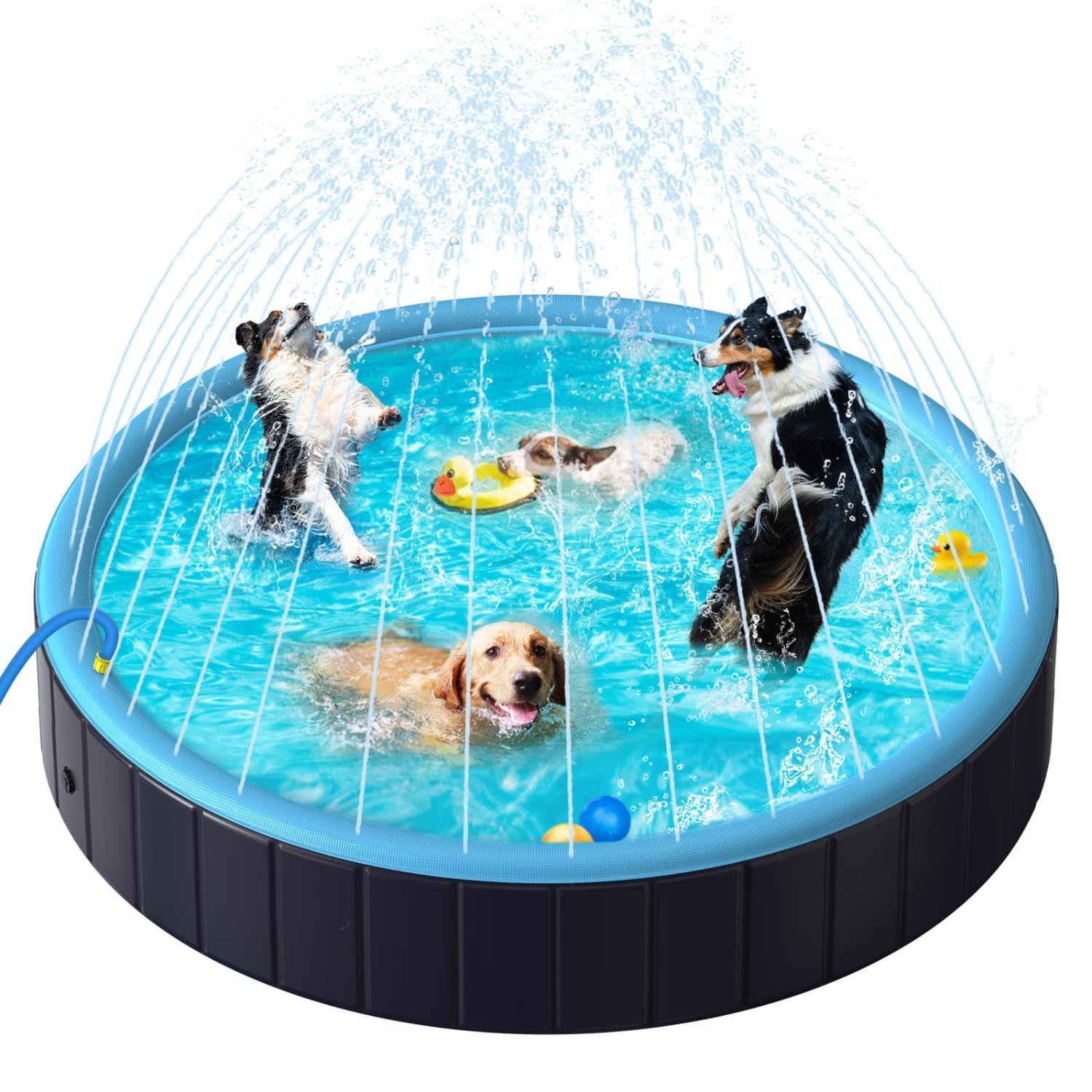 OLHAV Dog Pool for Large Dogs, 63" Foldable Pet Wading Pool with Splash ...