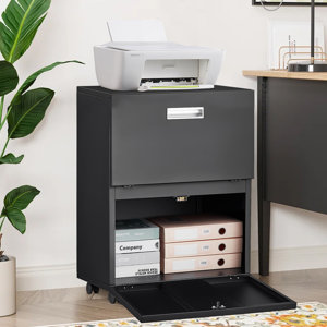 Ebern Designs 25.5''H Black Steel Mobile File Cabinet Copier Printer ...
