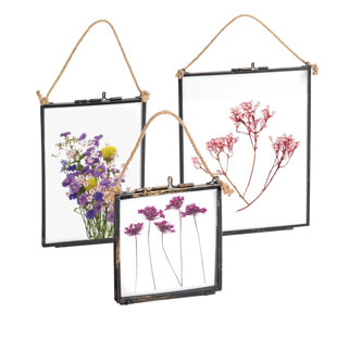 Square Picture Frames You'll Love | Wayfair.co.uk
