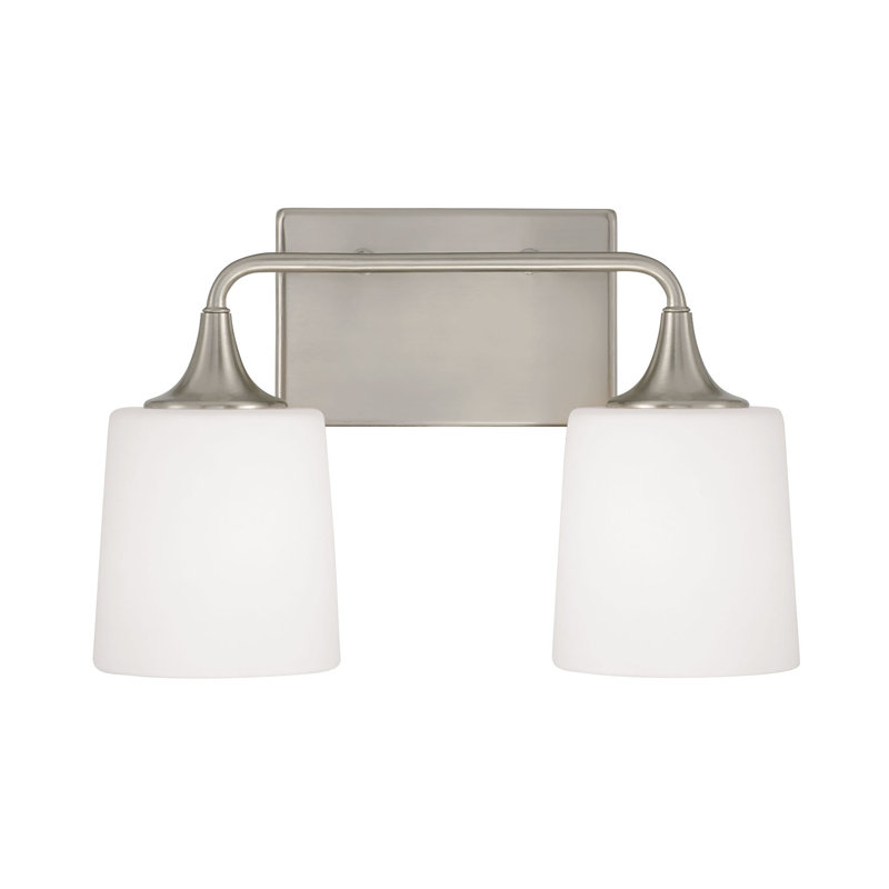 Willa Arlo™ Interiors Donnta 2 - Light Dimmable Vanity Light & Reviews ...