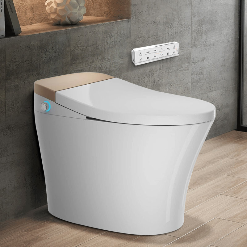 cosvalve Dual-Flush Elongated Bidet Toilet & Reviews | Wayfair