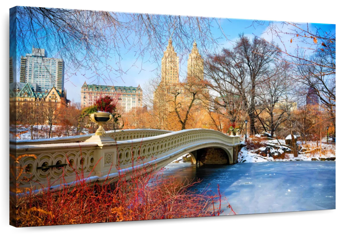 Ebern Designs Rorry Frozen Central Park Bow Bridge NYC | Wayfair