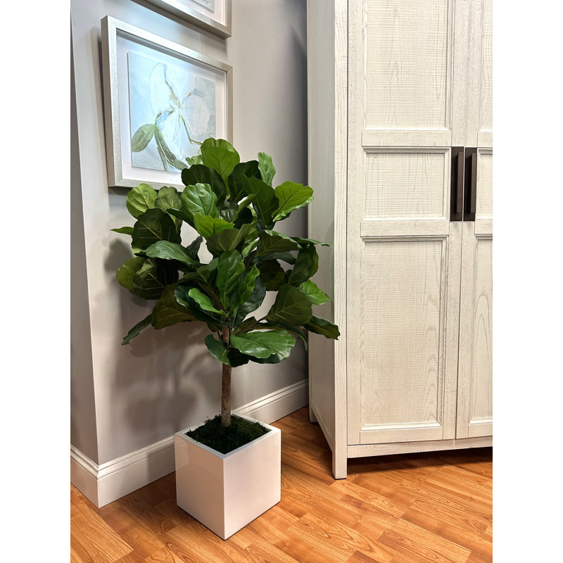Primrue Roemer 3.5' Faux Fiddle Tree in Fiberstone Planter | Wayfair