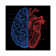 Happy Larry Heart and Brain by Tobias Fonseca - Wrapped Canvas Painting ...