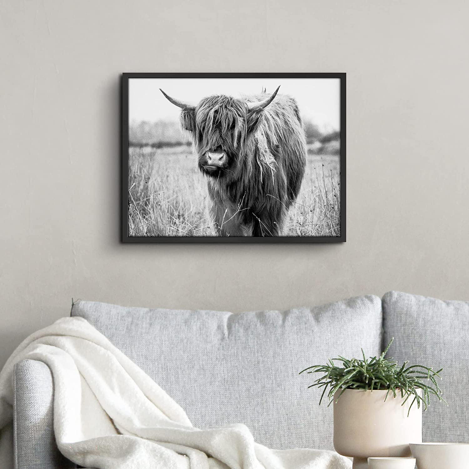SIGNLEADER Gros plan sur une vache Highland en noir et blanc ...