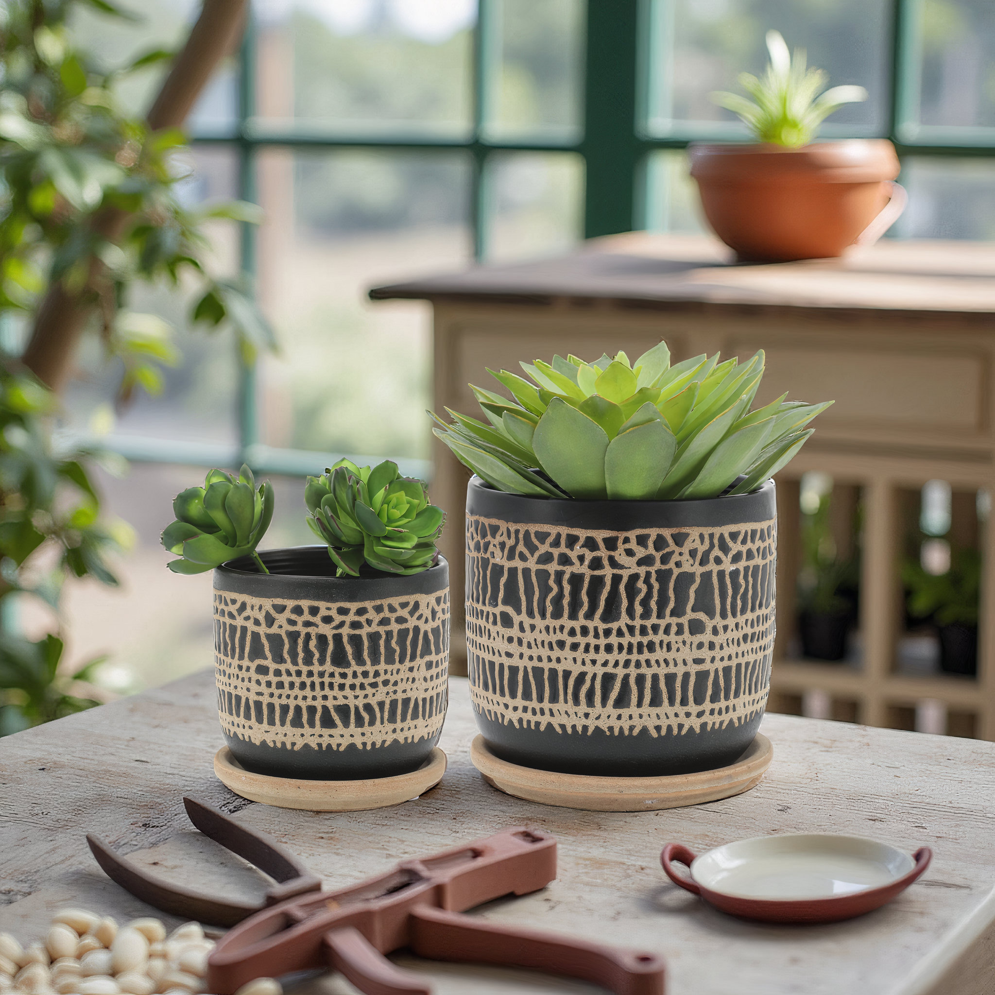 Wade Logan Stoneware Ceramic Saucer Planters with Textured Detailing ...