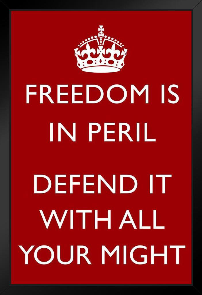 Trinx Freedom Is In Peril Defend It With All Your Might British WWII ...