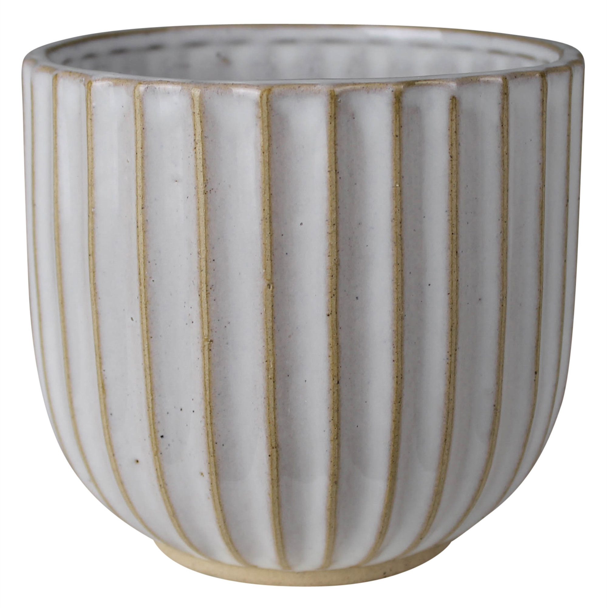AREOhome Ceramic Cachepot | Wayfair