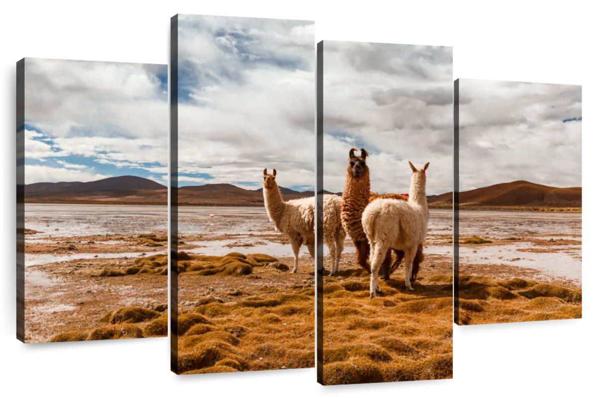 Ebern Designs Brampt Desert Alpacas | Wayfair