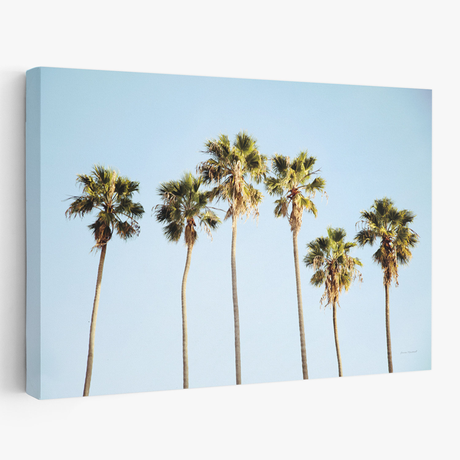 Bayou Breeze Coastal And Tropical Summer V | Wayfair