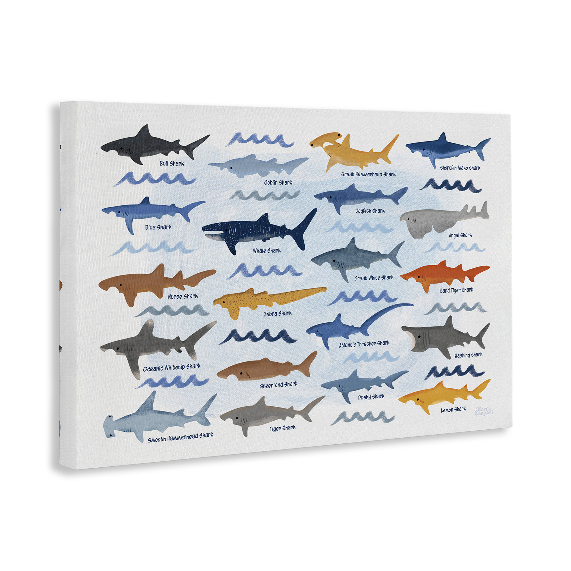 Highland Dunes Various Shark Breeds Canvas Wall Art by Carrie Cantwell ...