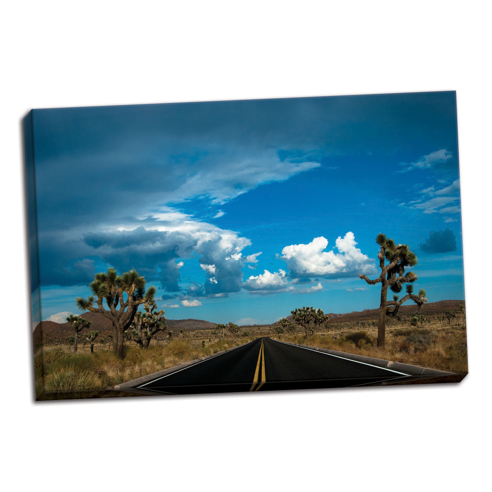 Union Rustic 'Joshua Tree National Park III' Photographic Print on ...