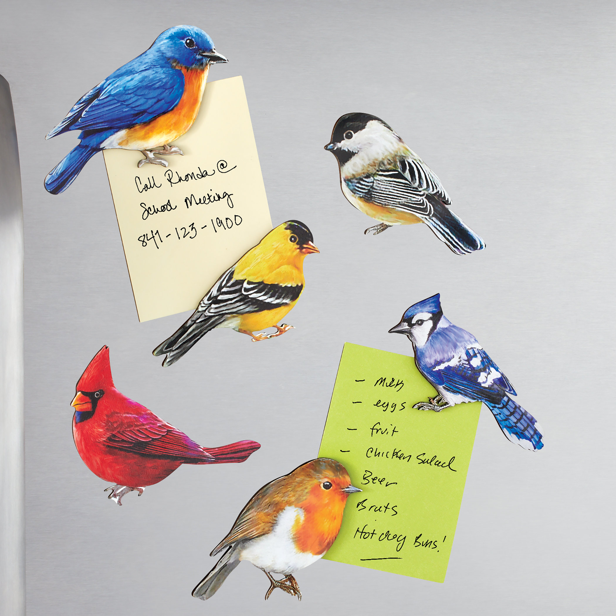 Winston Brands Detailed Wooden Bird Magnets - Set of 6 | Wayfair