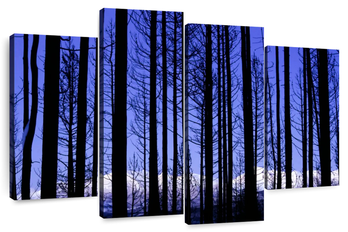 Millwood Pines Glacier National Park Trees - Wayfair Canada