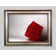 Bright Star Red Jelly Cube - Single Picture Frame Print | Wayfair.co.uk