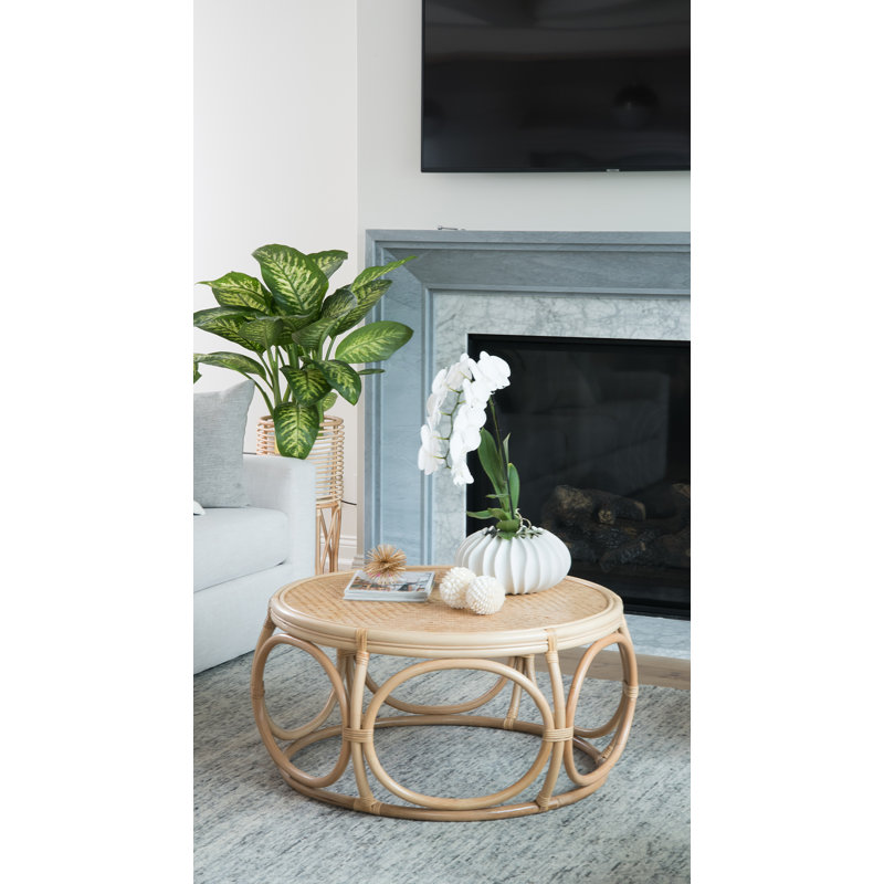 Bayou Breeze Mejia Coffee Table & Reviews | Wayfair