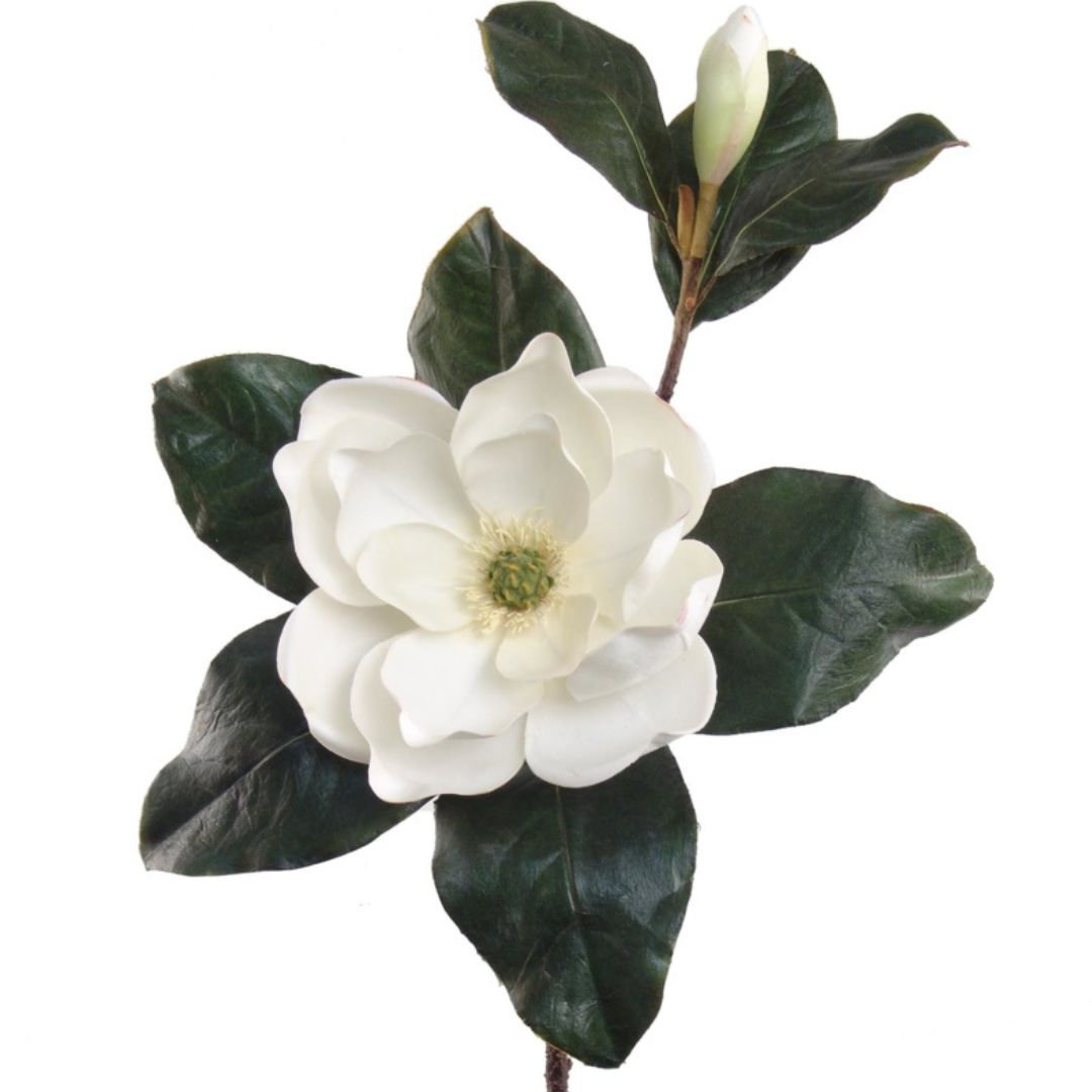 Primrue Sanders Magnolia Sprays | Wayfair