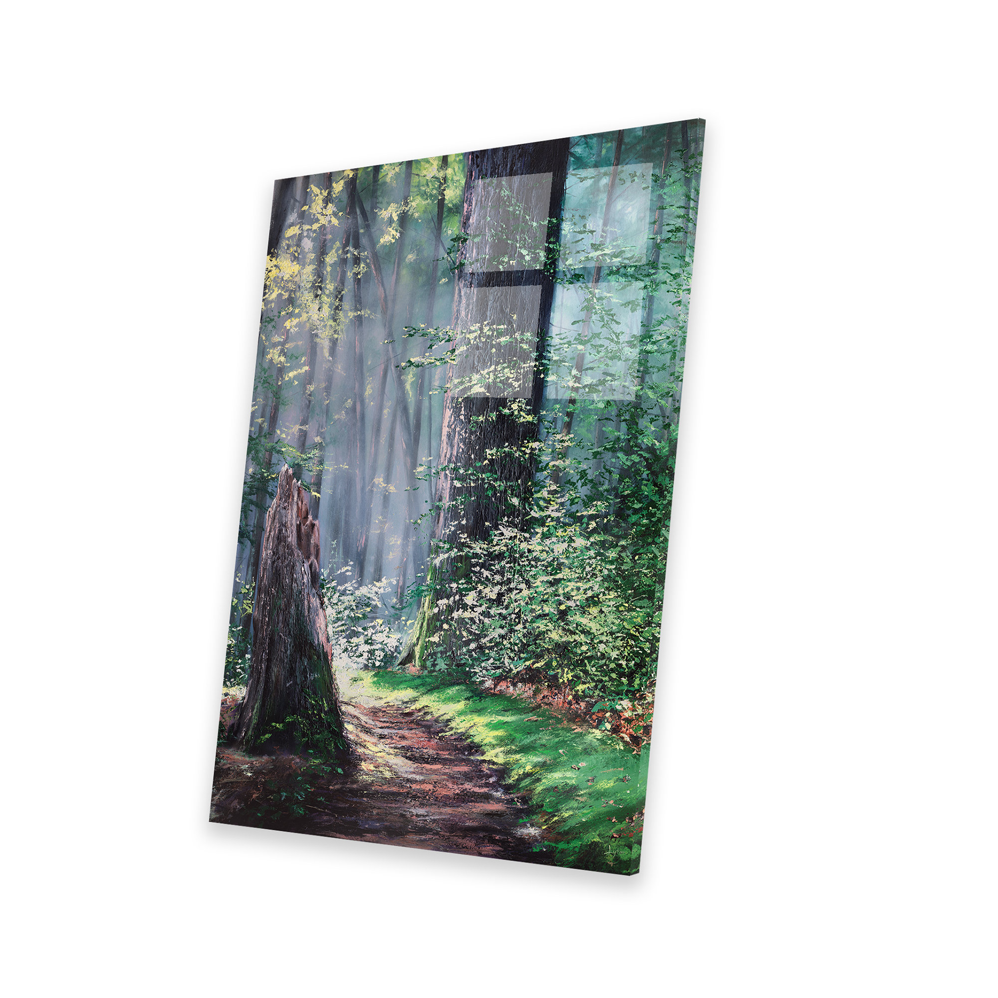 Millwood Pines Through A Forest Wilderness On Plastic / Acrylic by ...