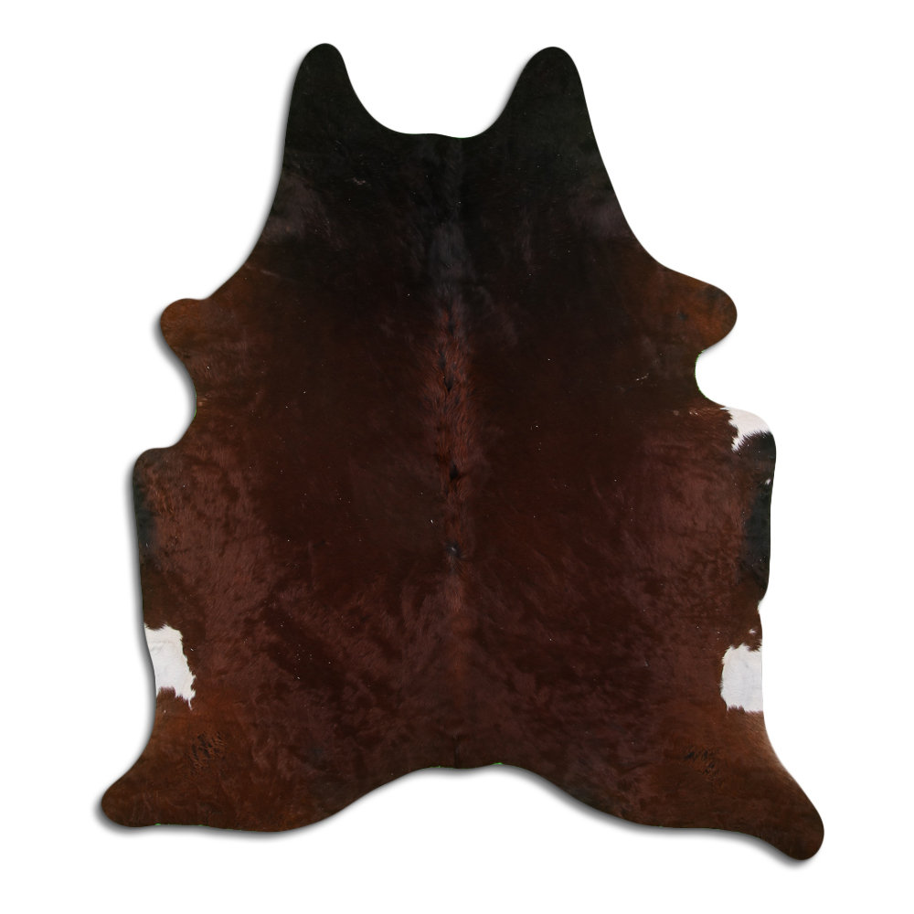 Foundry Select Tapis en cuir de vache Novelty 5 pi x 7 pi Timnath ...