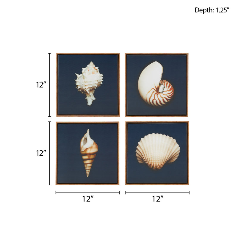 Highland Dunes Ocean Seashells 4-piece Framed Canvas Wall Art Set ...