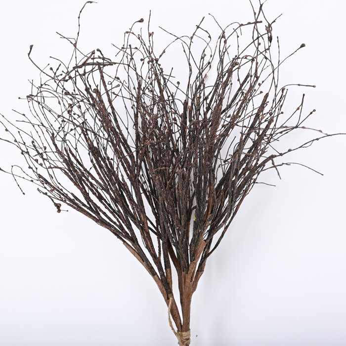 Primrue 30" Birch Twigs Decorative Branches | Wayfair