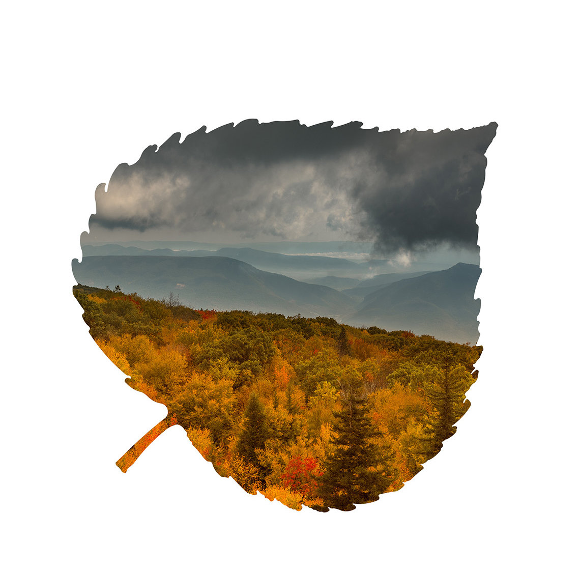 Loon Peak® Rustic Landscape & Nature Wall Decor on Metal - Wayfair Canada