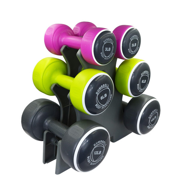 Brayden Studio® Weights Set Free-Weight Dumbbell Set With Rack Set ...