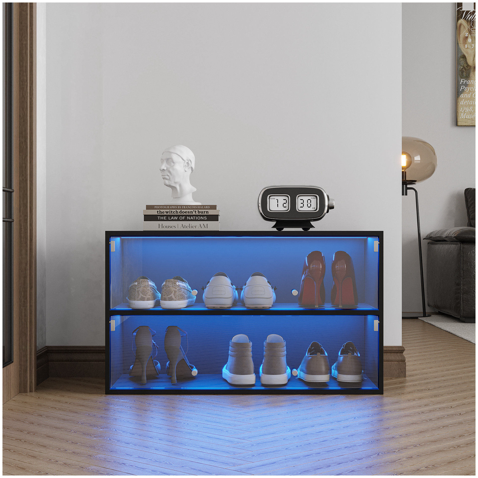 Ivy Bronx Black Glass Door Shoe Box Shoe Storage Cabinet With RGB Led ...