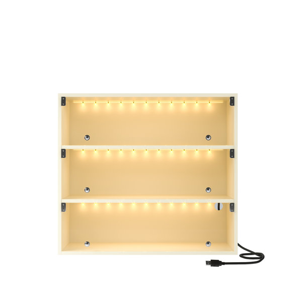 Rebrilliant 9-Pair RGB Shoe Storage Boxes with Wood Frame and Glass ...