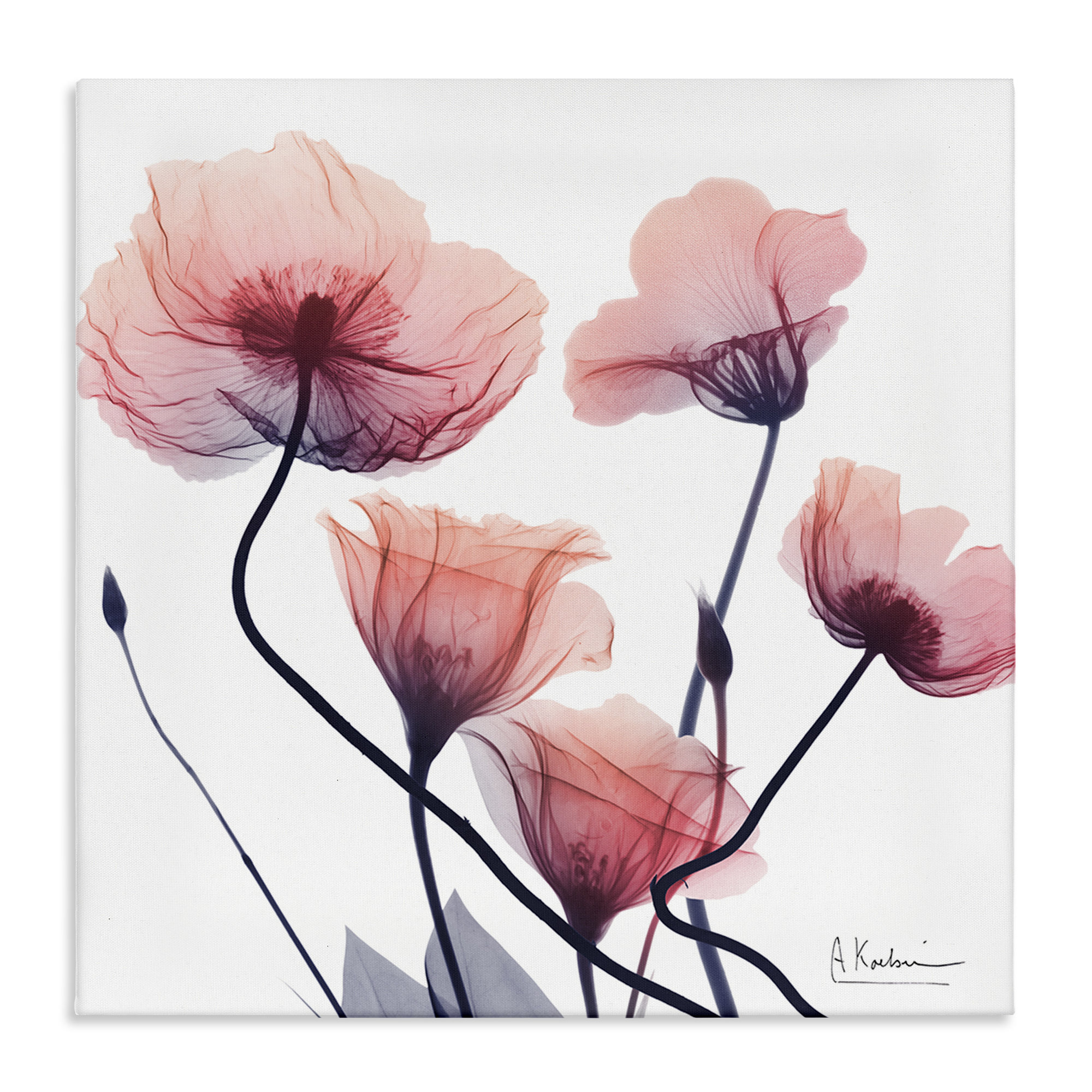 George Oliver Pink Chic Simple Flowers Canvas, design by Albert ...