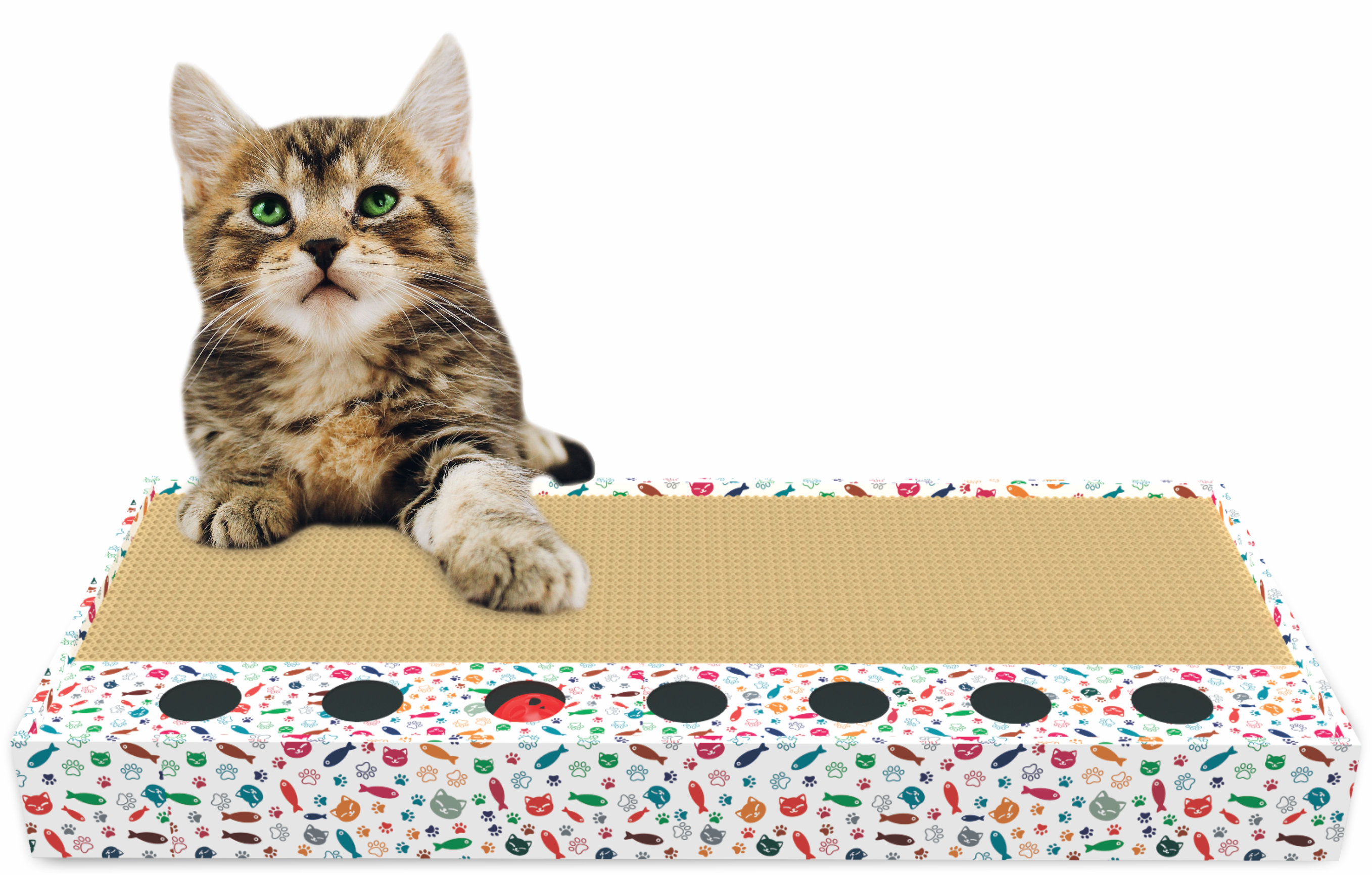 Tucker Murphy Pet™ Scratch and Play Scratching Board | Wayfair