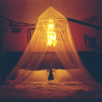 bed canopy with lights