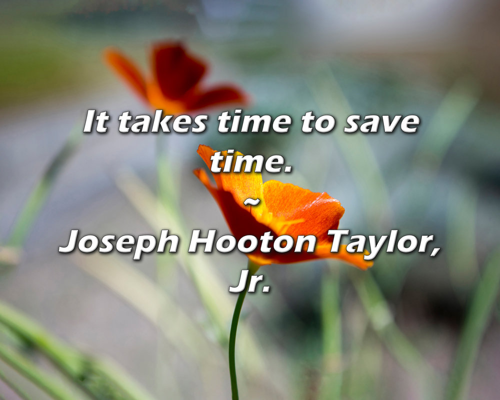 Ophelia & Co. Joseph Hooton Taylor, Jr. Quote: It takes time to save ...