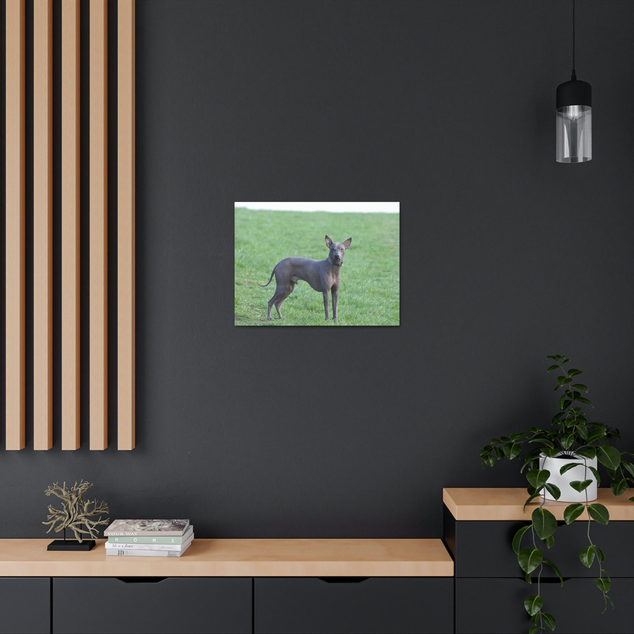 Ebern Designs Majestic Chupacabra Art Majestic Chupacabra Print Animal ...