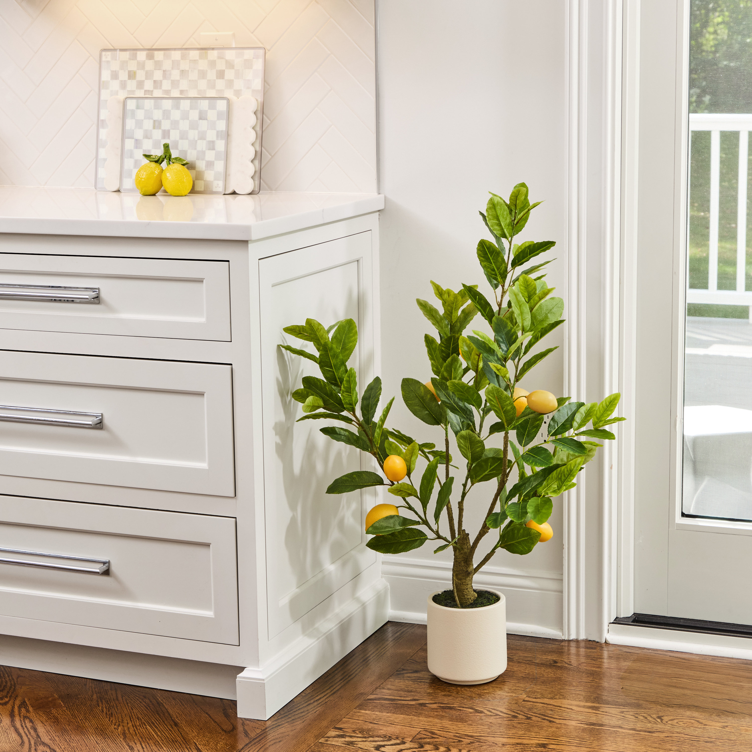 Primrue 3' Potted Tuscan Lemon Tree | Wayfair