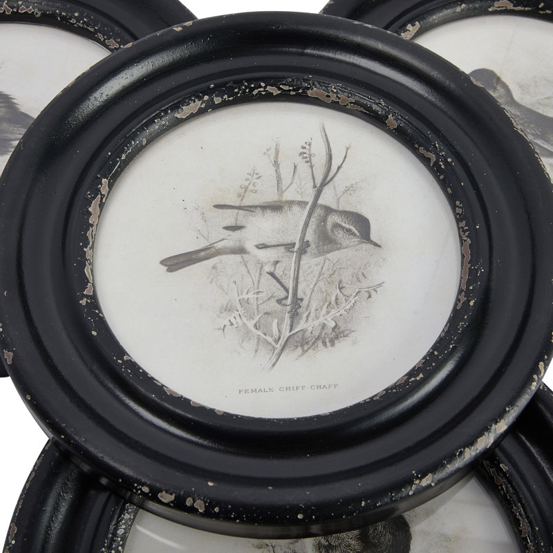 Alcott Hill® Round Wood Framed Bird Prints | Wayfair