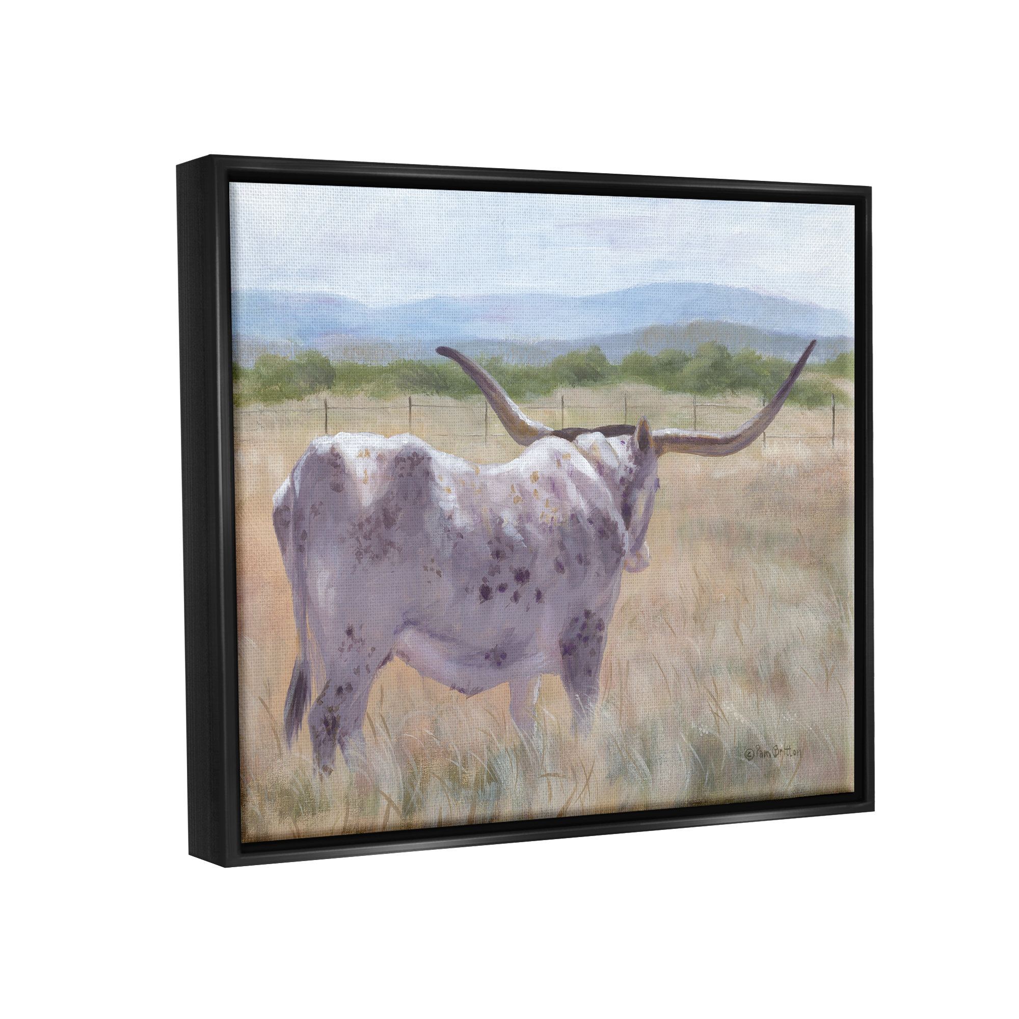 Stupell Industries Longhorn Vast Rural Grassland Farm Floater Canvas ...