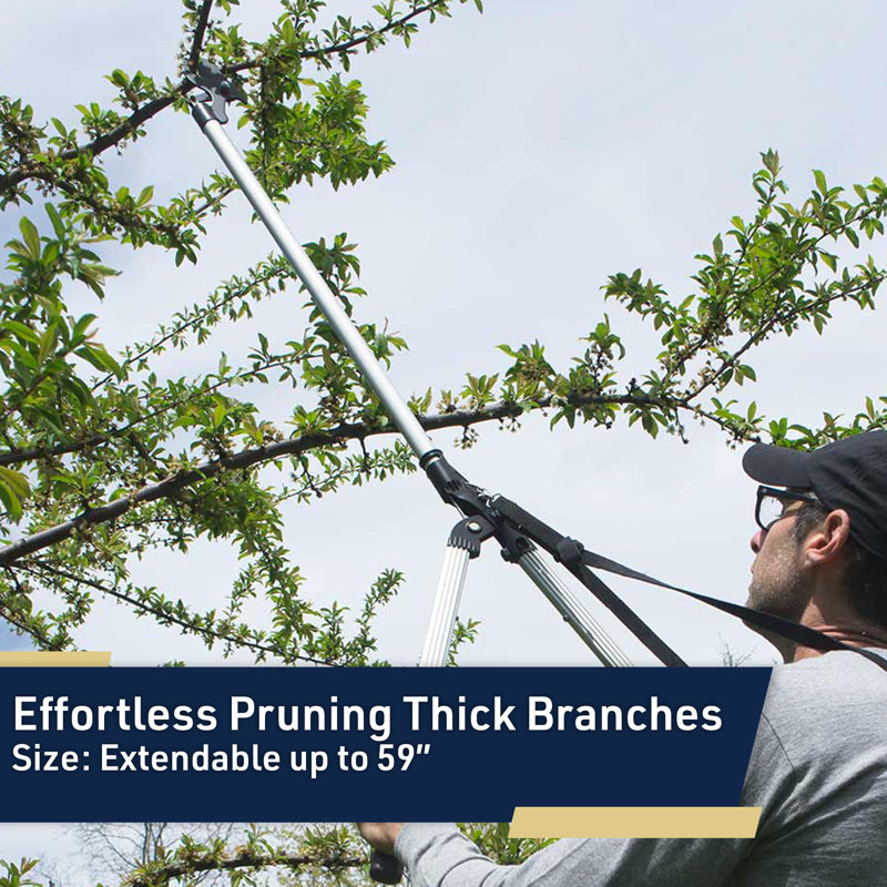 Kings County Tools 59-Inch Tree Trimmer Pruners | Wayfair