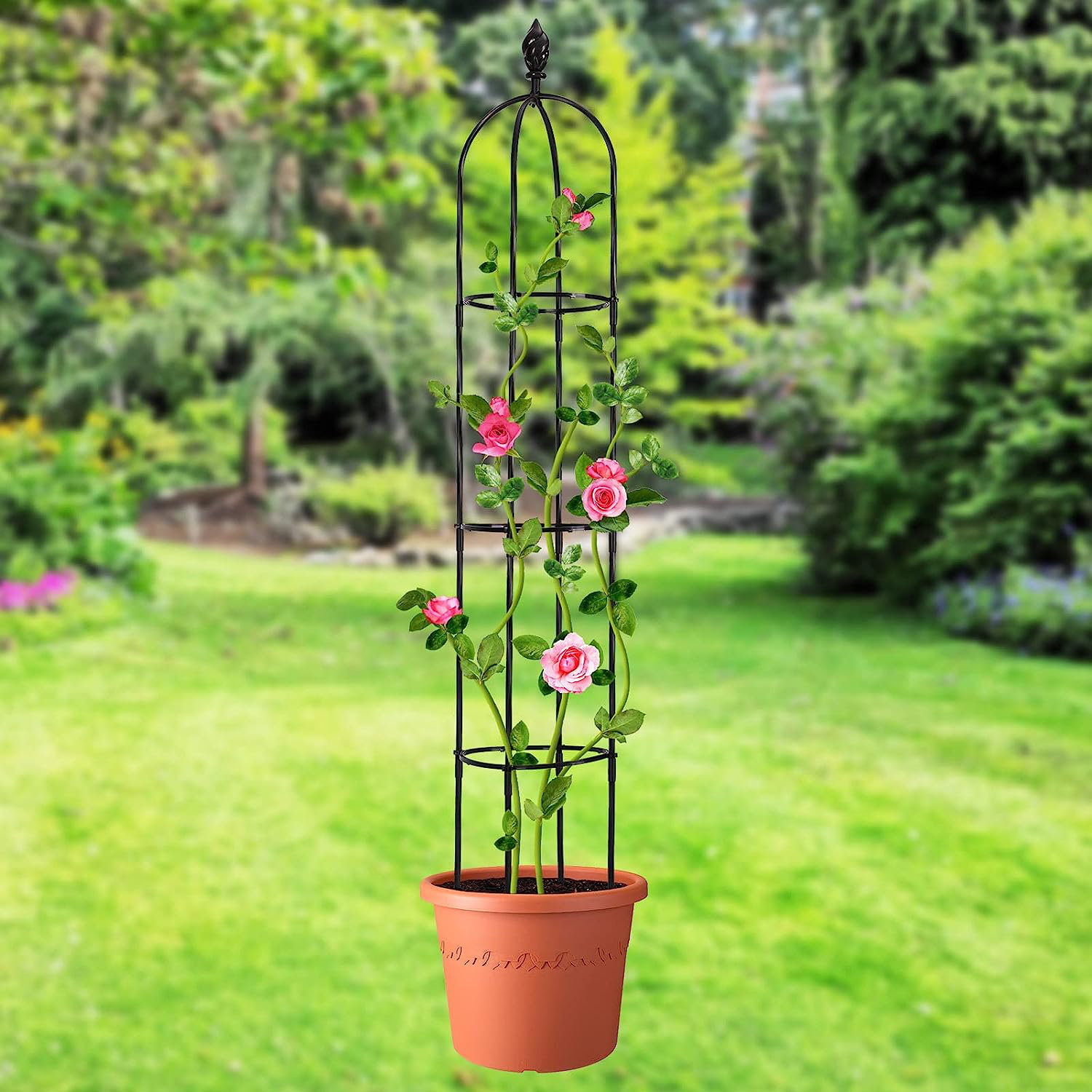 Red Barrel Studio Garden Trellis For Climbing Plants Outdoor - Wayfair ...