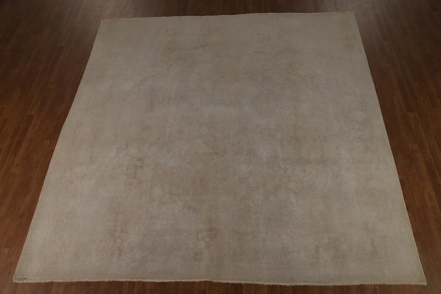 Bloomsbury Market Square Wool Traditional Area Rug 10x10 | Wayfair