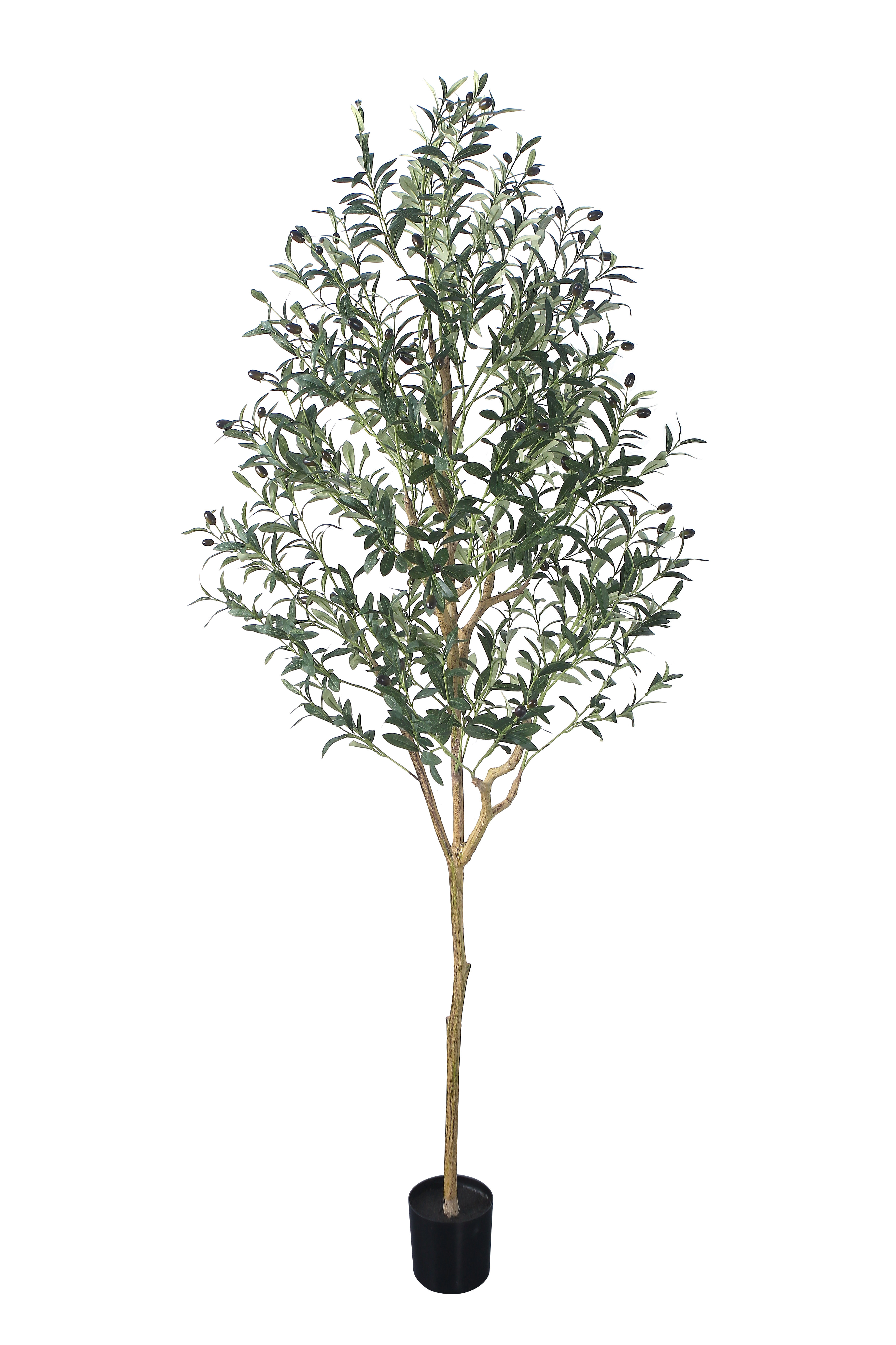 Primrue 47'' Faux Olive Tree in Planter - Wayfair Canada