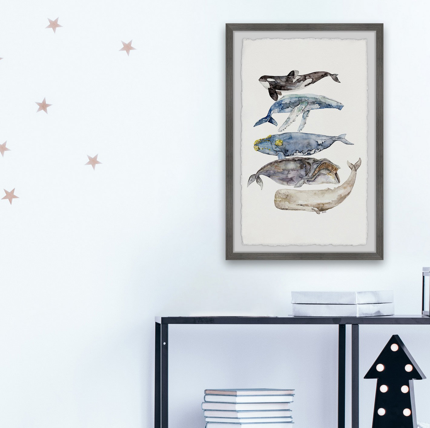 Harriet Bee Hartshorne Whale Species Framed Print | Wayfair